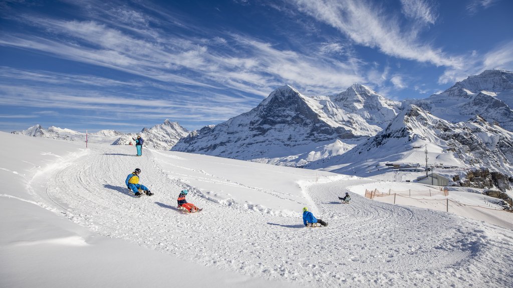 Tobogganing experience on the Männlichen – Made in Bern