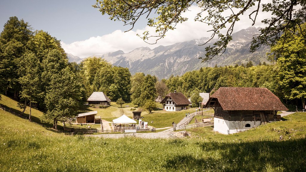Ballenberg Open-Air Museum – Made in Bern