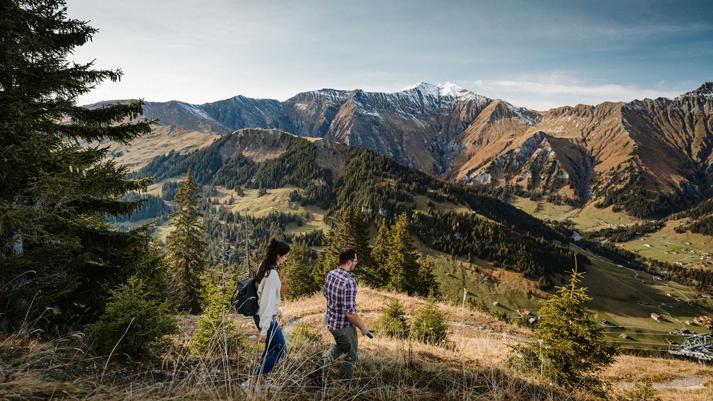 Autumn gold – Hotel Adler Adelboden – Made in Bern