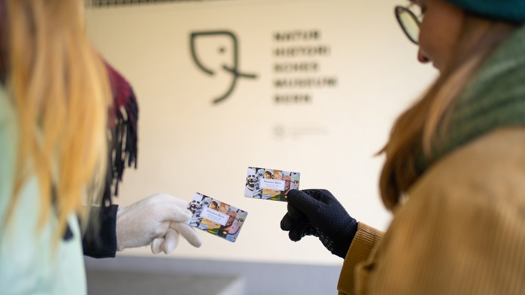 Museum Card Bern – Made in Bern