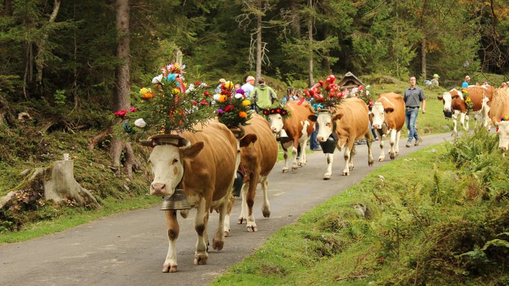 Chästeilet dans le Justistal – Made in Bern